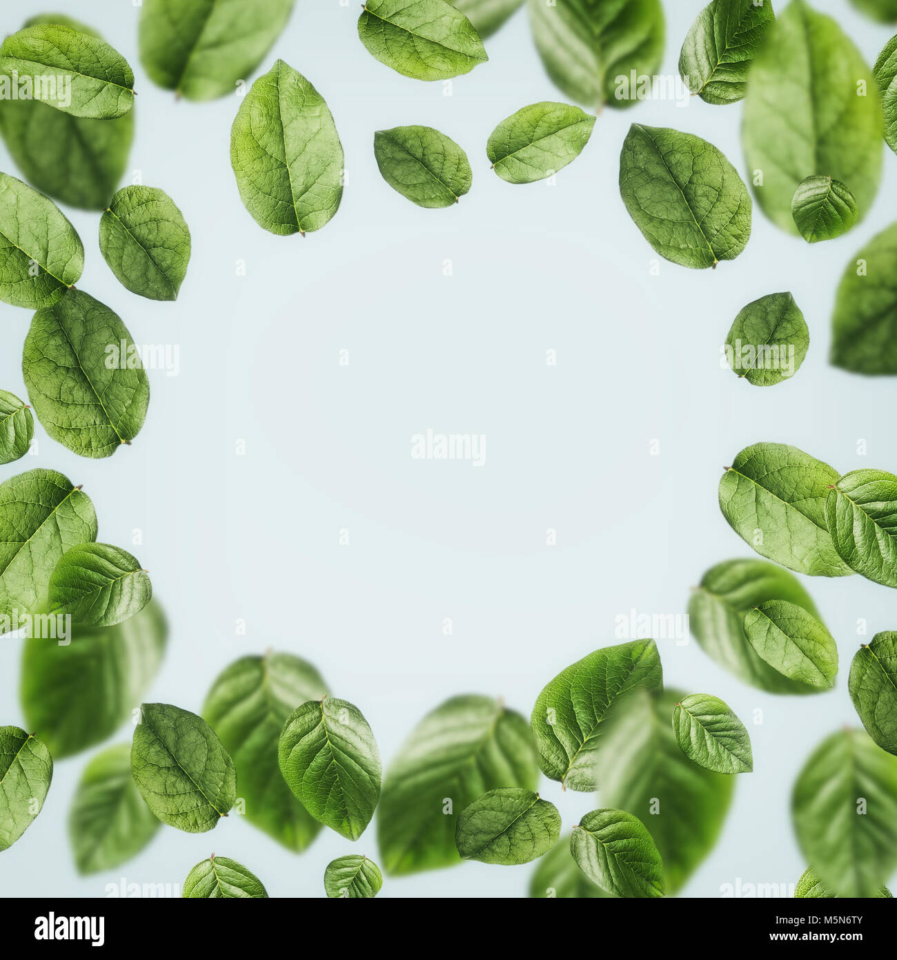 Beautiful flying green leaves background , frame . Creative layout ...