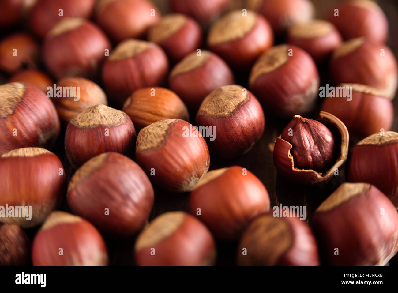 Hazel wood texture hi-res stock photography and images - Alamy