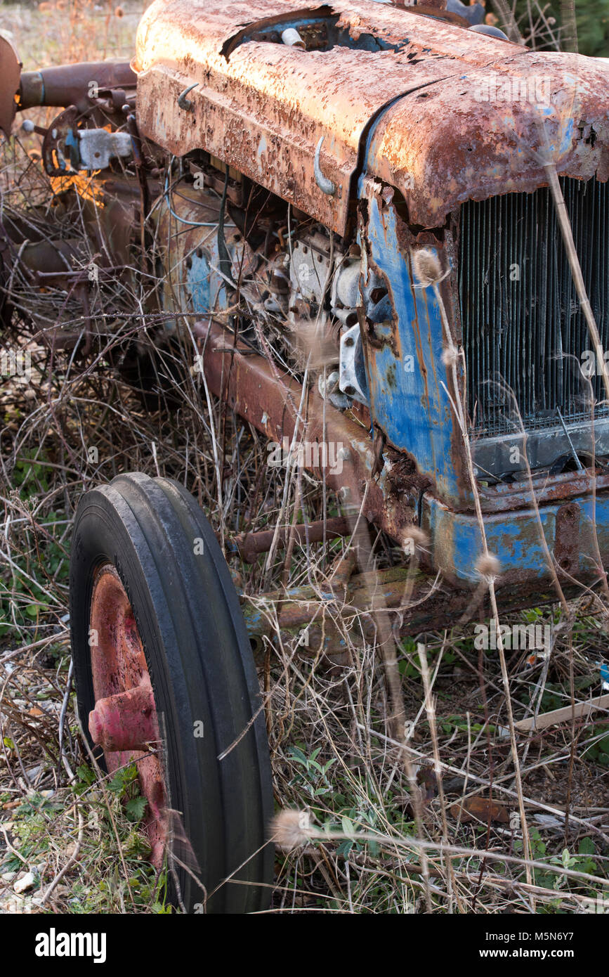 An old wrecked scrap tractor in a state of disrepair in a field rotting ...