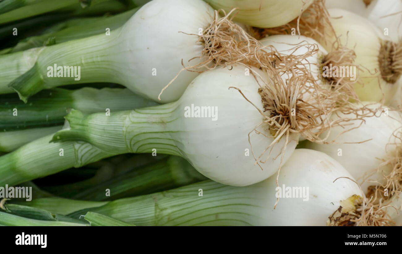 Scallions sliced isolated hi-res stock photography and images - Alamy