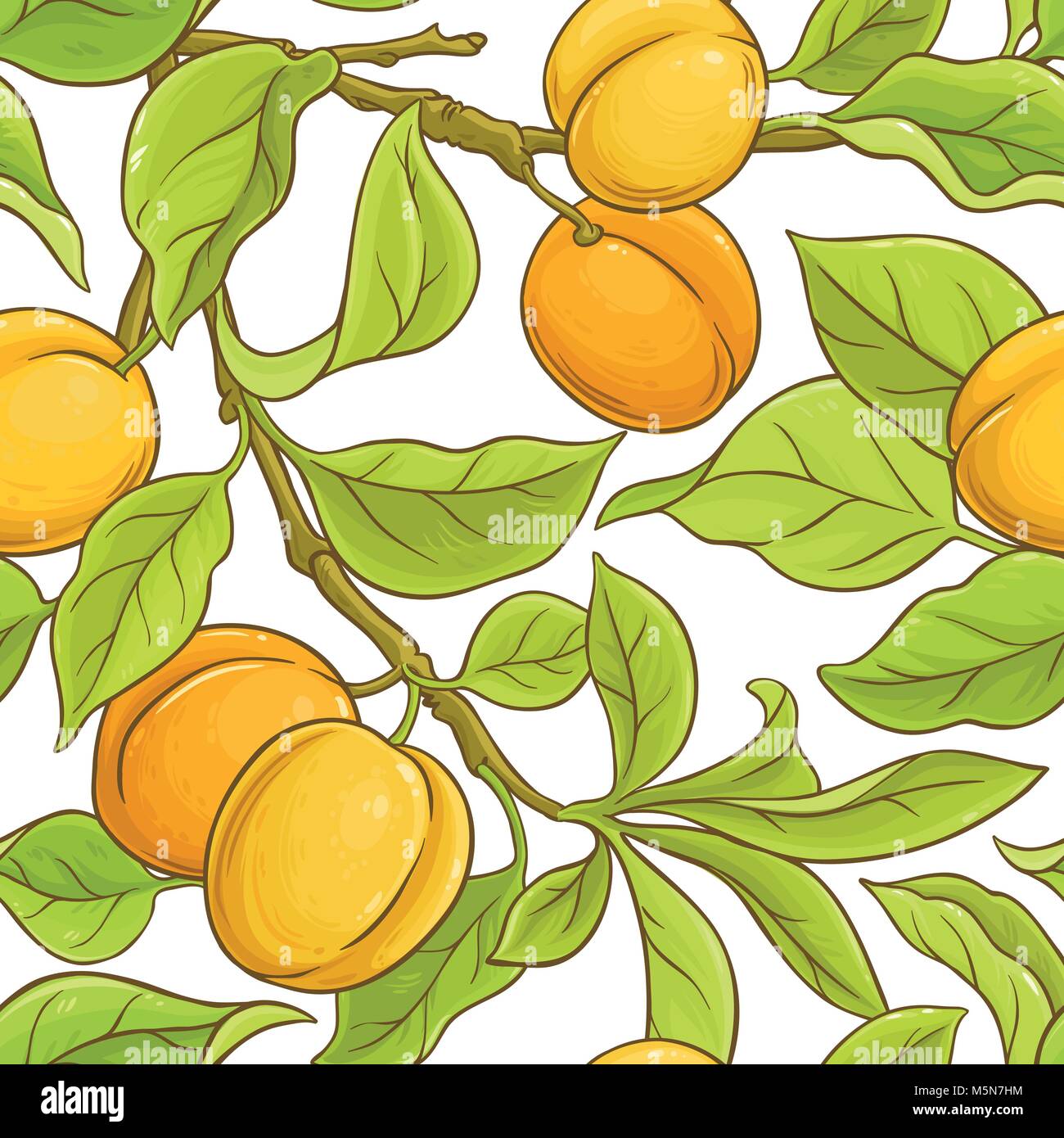 apricot branches vector pattern on white background Stock Vector Image ...