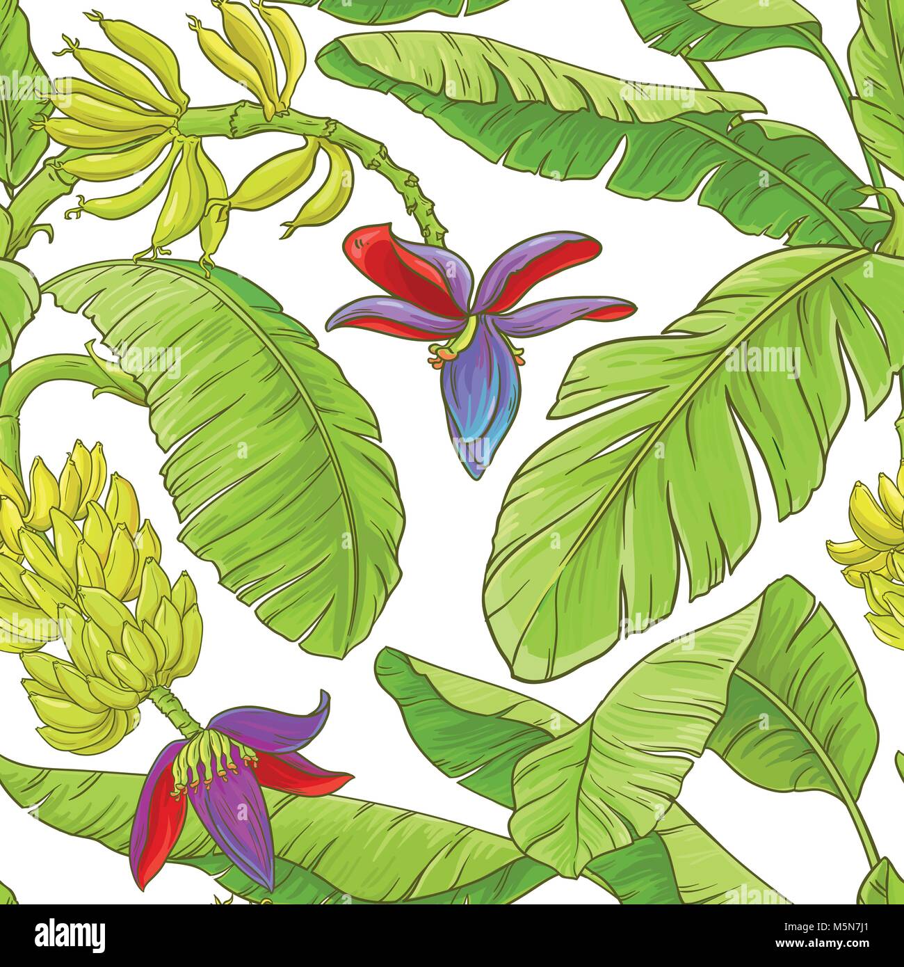 banana plant vector pattern on white background Stock Vector Image ...