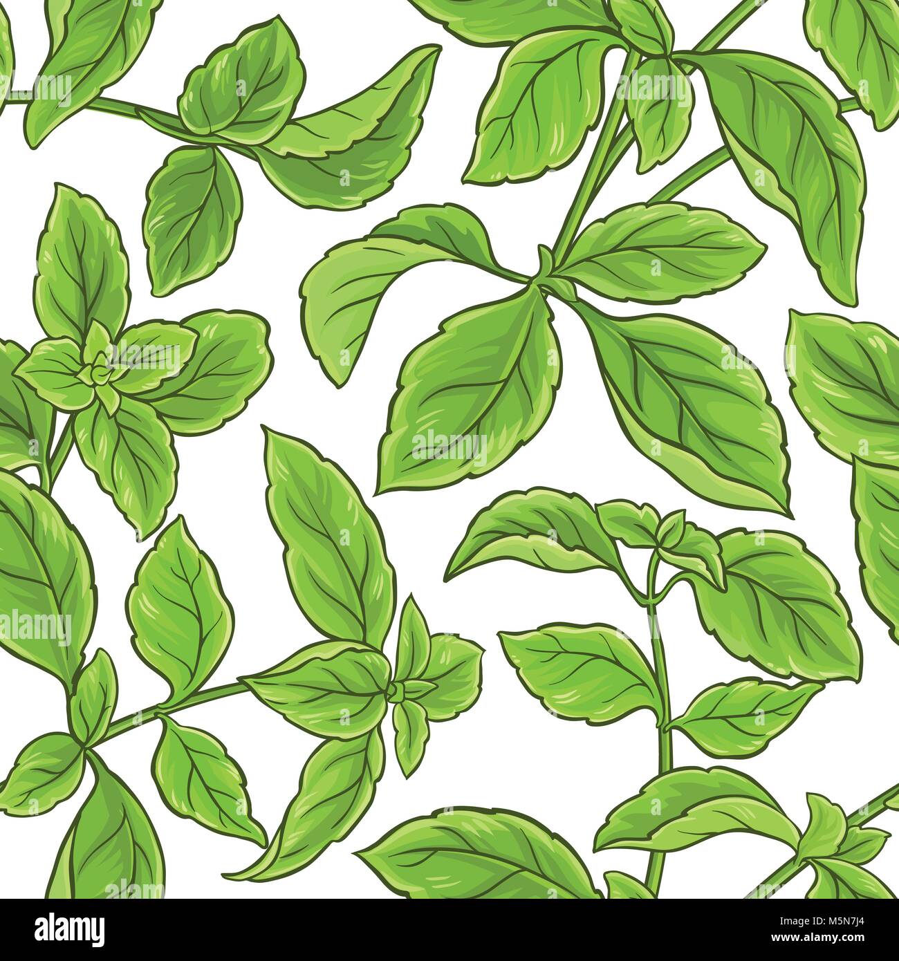 basil plant vector pattern on white background Stock Vector Image & Art ...