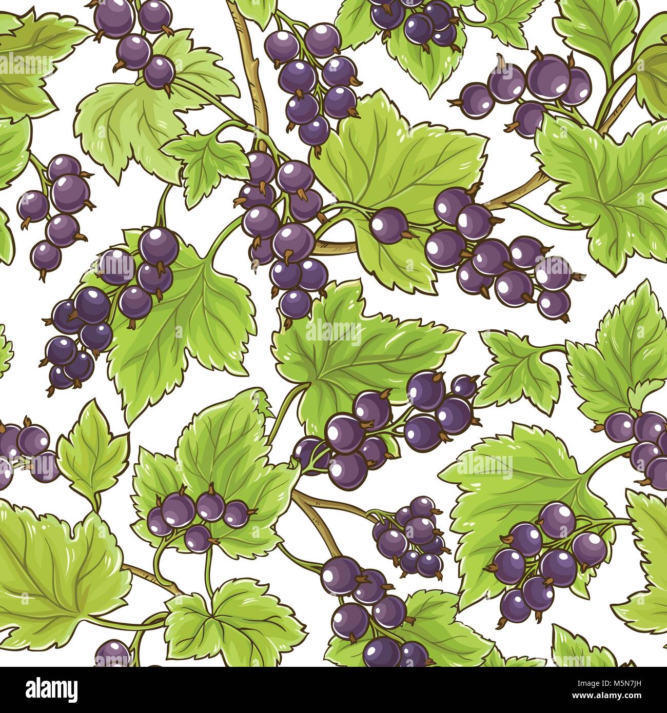 black currant vector pattern on white background Stock Vector Image ...