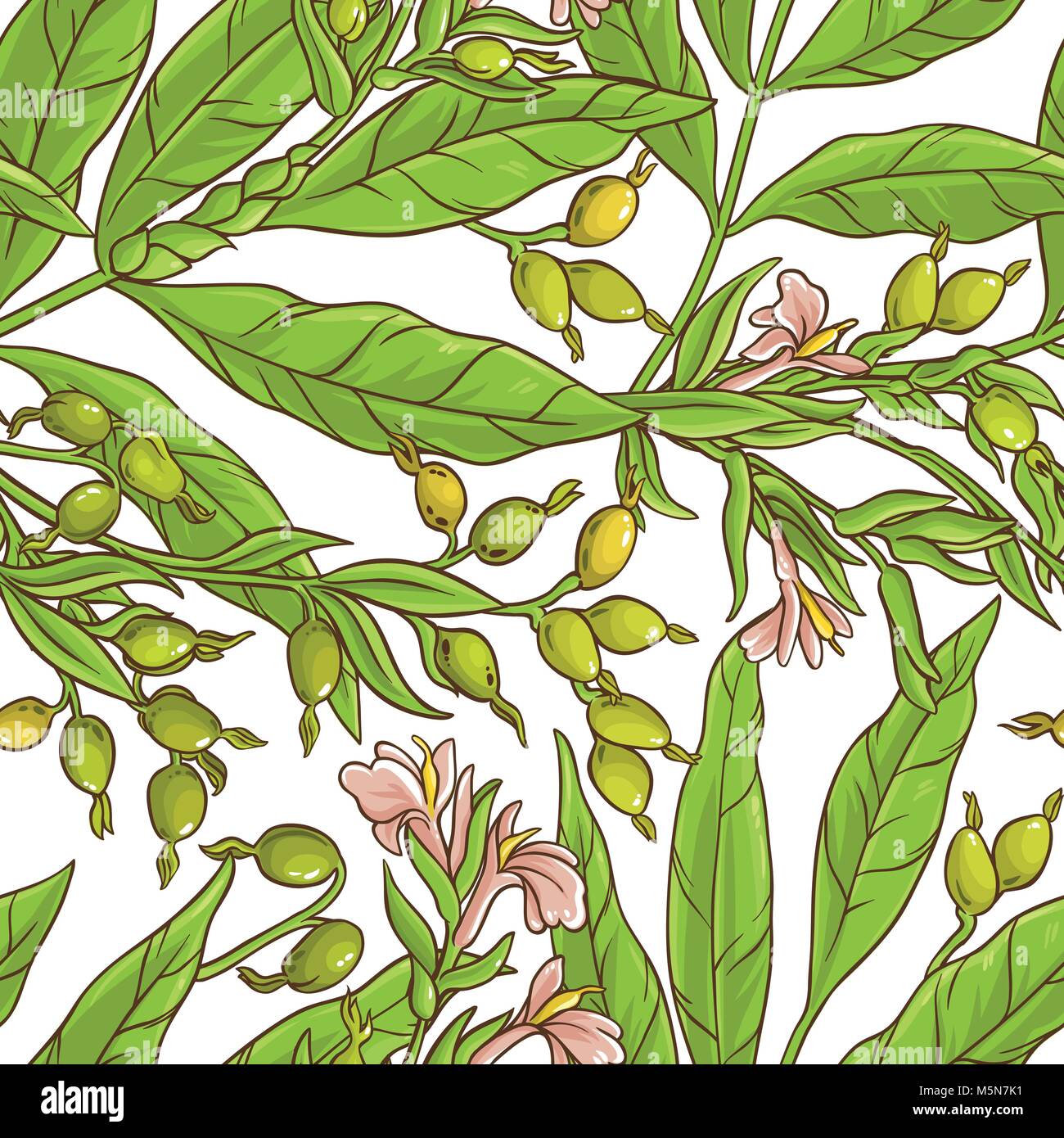 cardamom branches vector pattern on white background Stock Vector Image ...