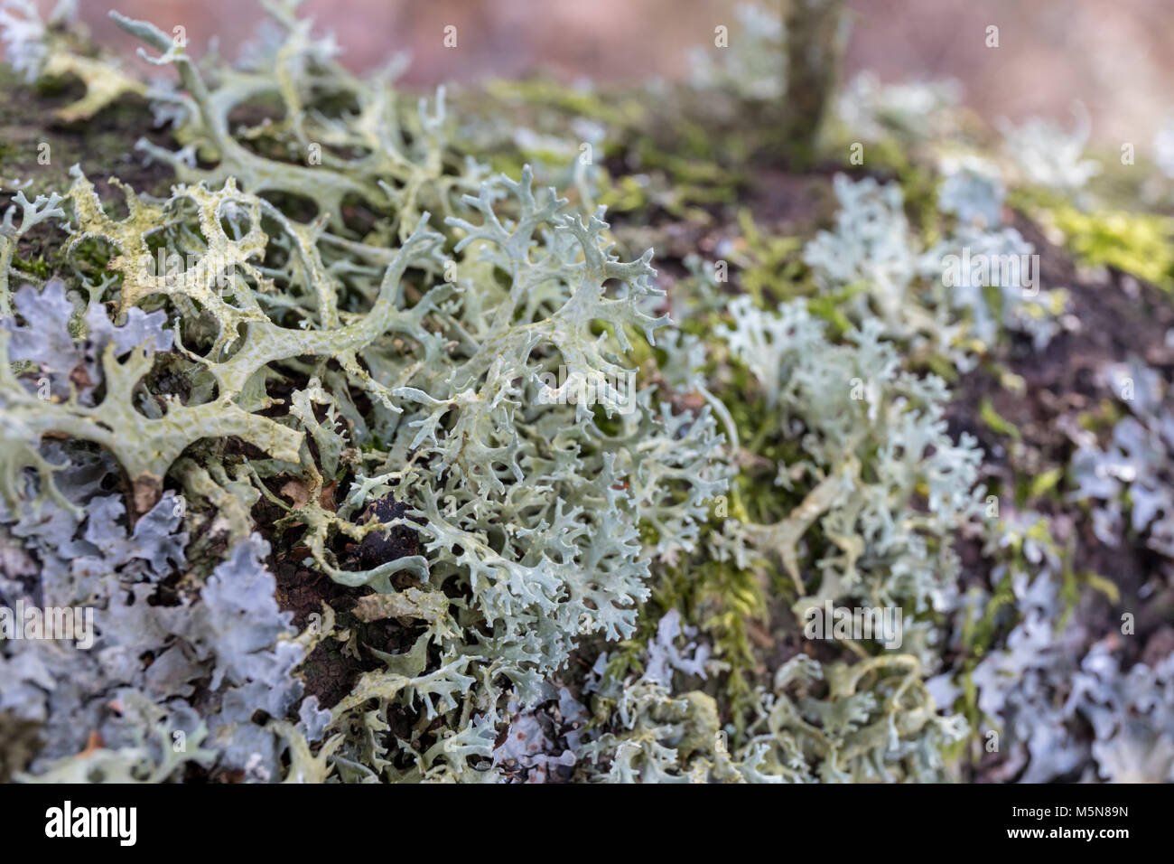 Vendsyssel hi-res stock photography and images - Alamy
