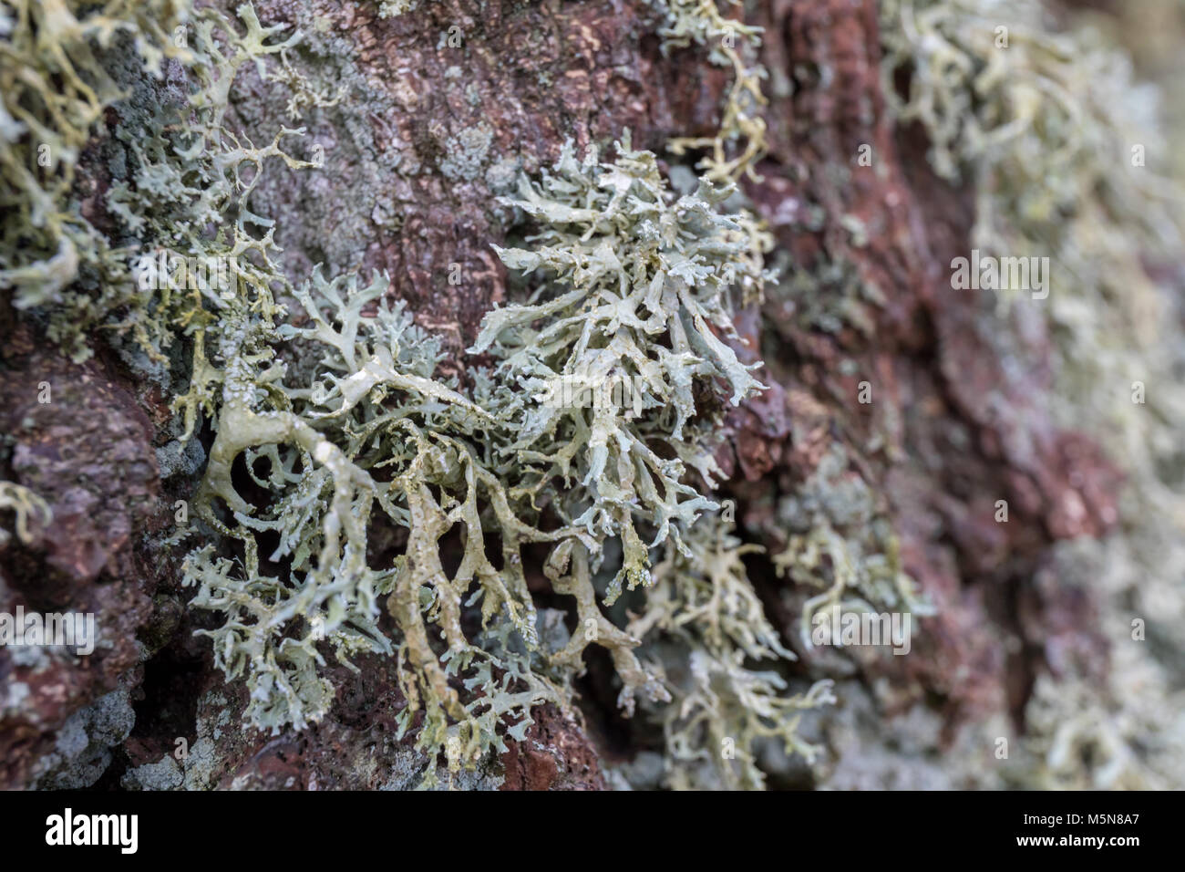 Vendsyssel hi-res stock photography and images - Alamy