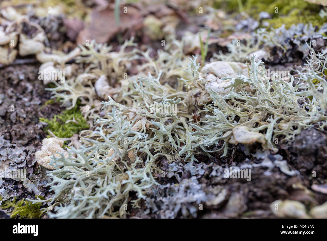 Vendsyssel hi-res stock photography and images - Alamy