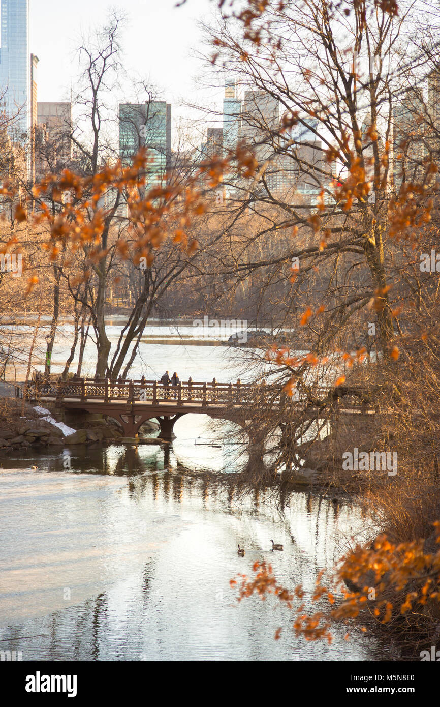 Beautiful Fall colors at Oak Bridge ,Bank Rock bay, Central Park, New ...