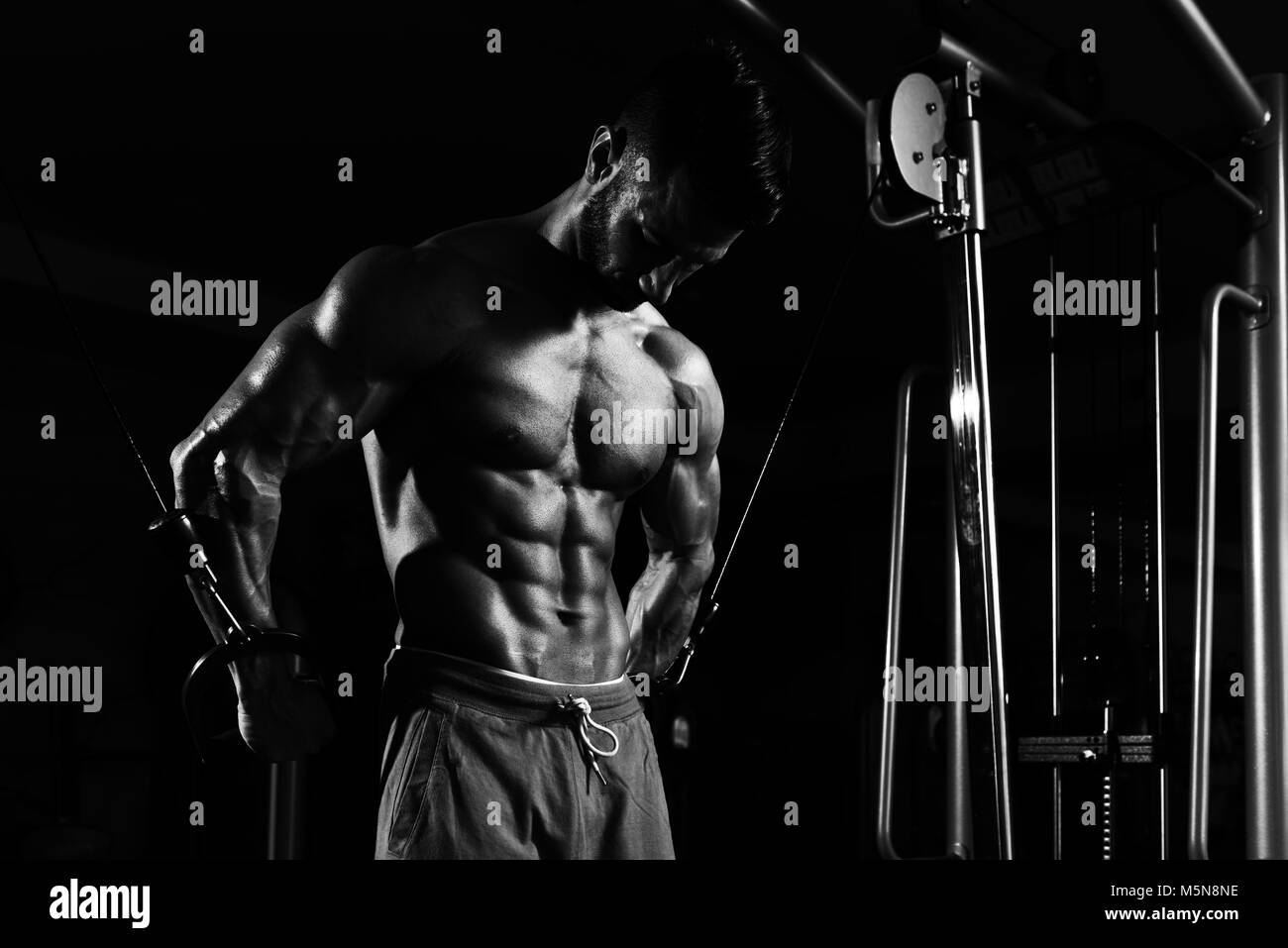 Muscular Man Doing Heavy Weight Exercise For Chest On Machine With ...