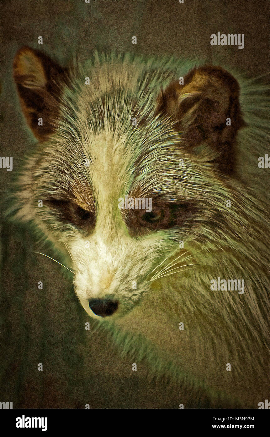 Scribe pictures hi-res stock photography and images - Alamy