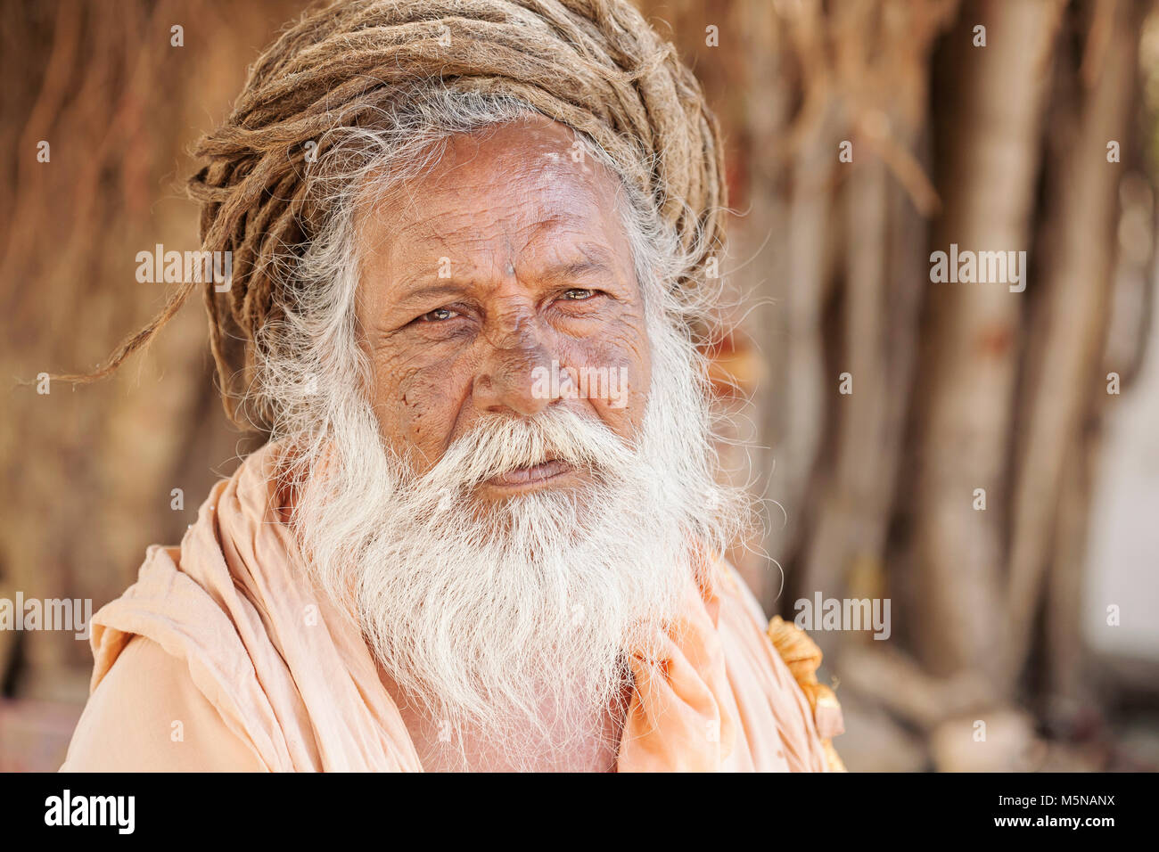 Portrait of Indian Sadhu Baba, Puskar city, India, 14 Feb, 2018 Stock ...