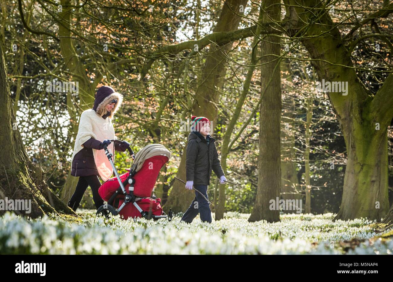Burton agnes hall driffield yorkshire hi-res stock photography and ...