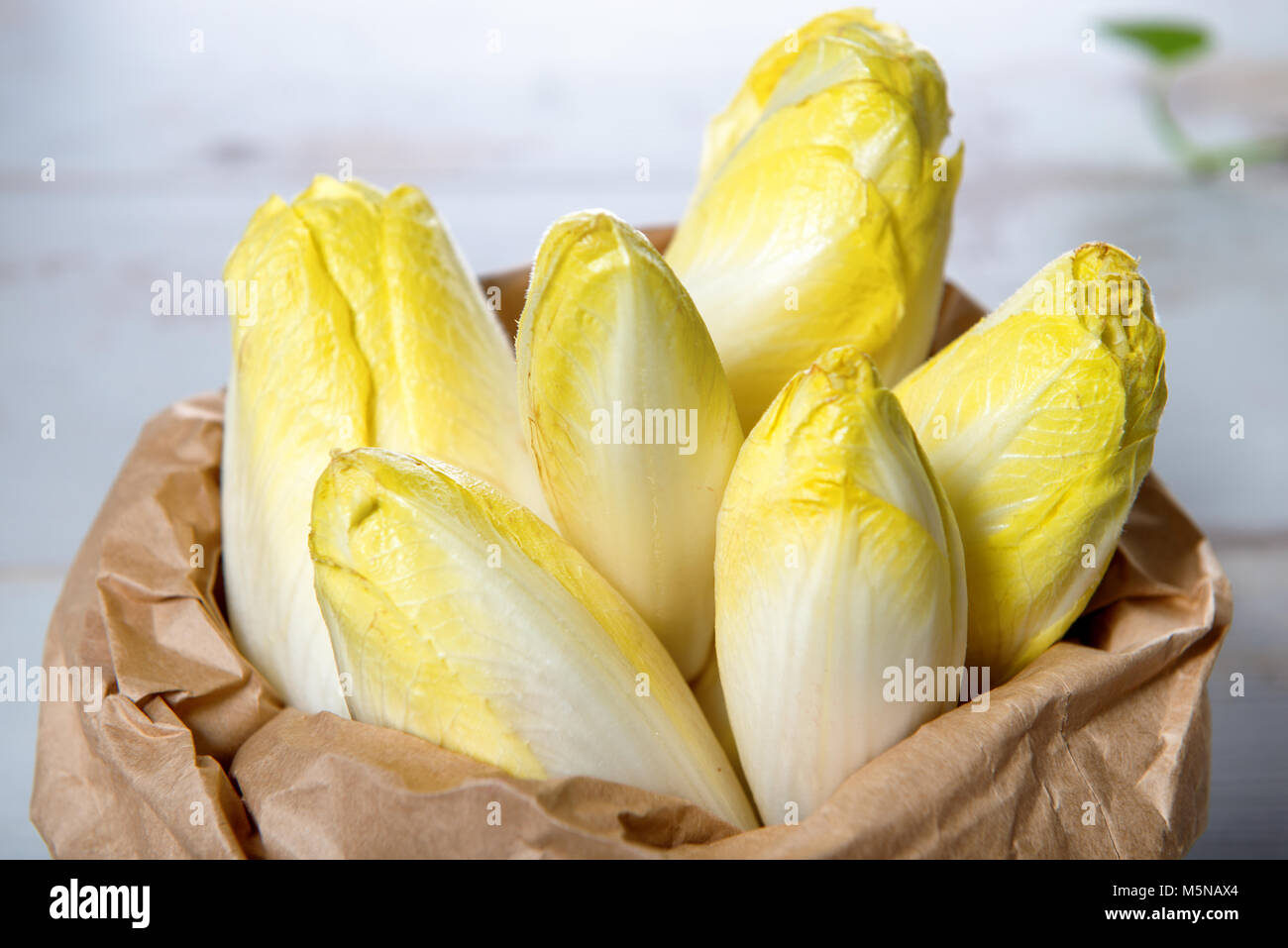 raw organic belgian or french endive Stock Photo - Alamy