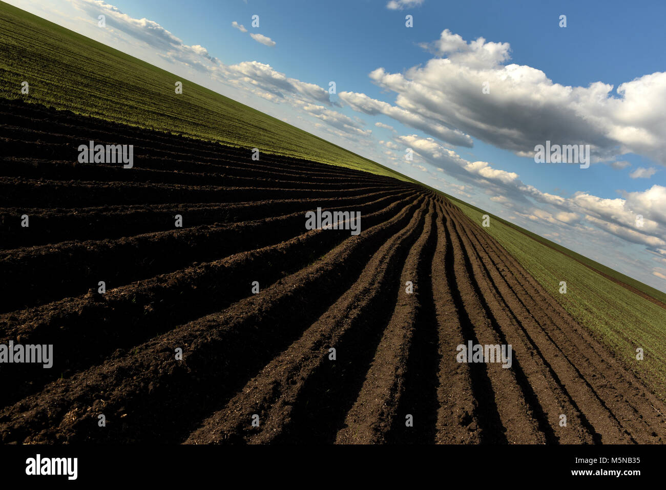 farmland, plowed field, spring, landscape, agricultural, fields of ...