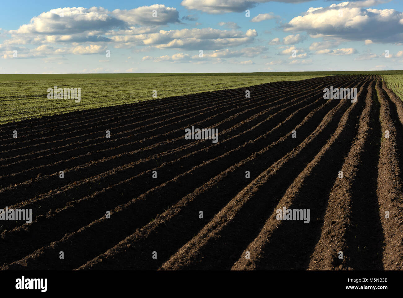 Aerial view farmland wheat field hi-res stock photography and images ...