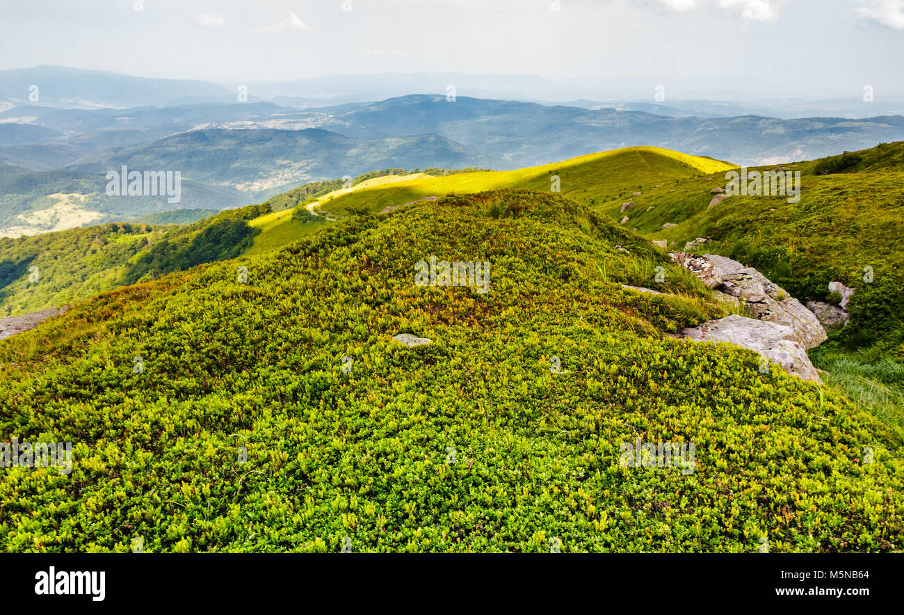Beautiful rolling green hill grass hi-res stock photography and images ...