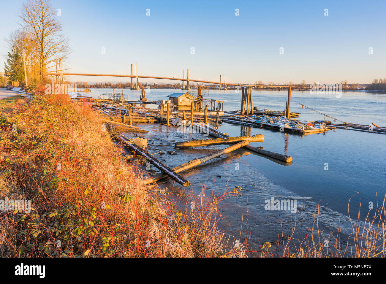 Golden reserve hi-res stock photography and images - Alamy