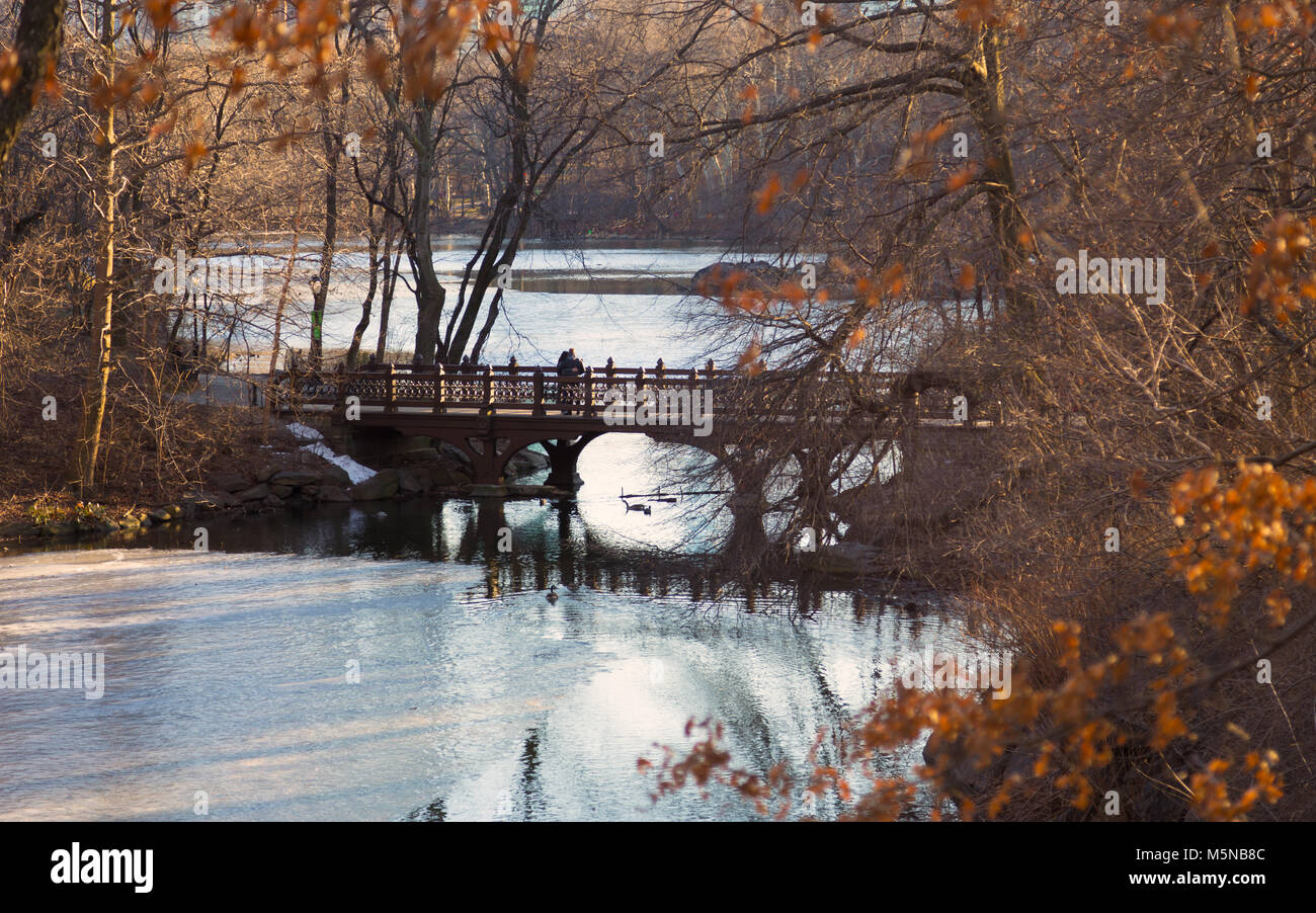 Oak bridge central park hi-res stock photography and images - Alamy