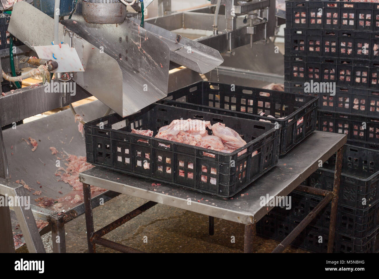 Meat processing of chicken products. Technological process Stock Photo ...