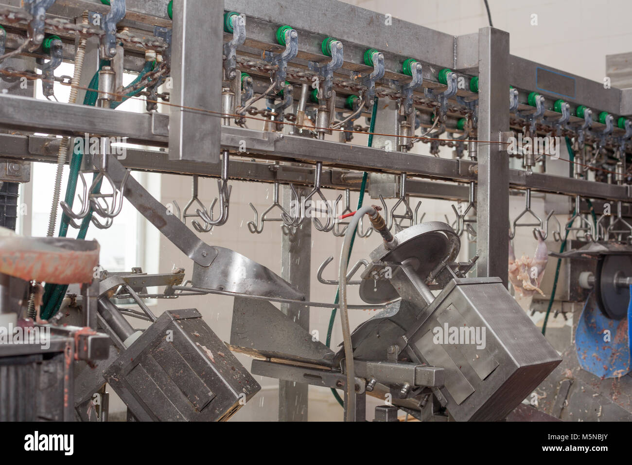 Meat processing of chicken products. Technological process Stock Photo ...