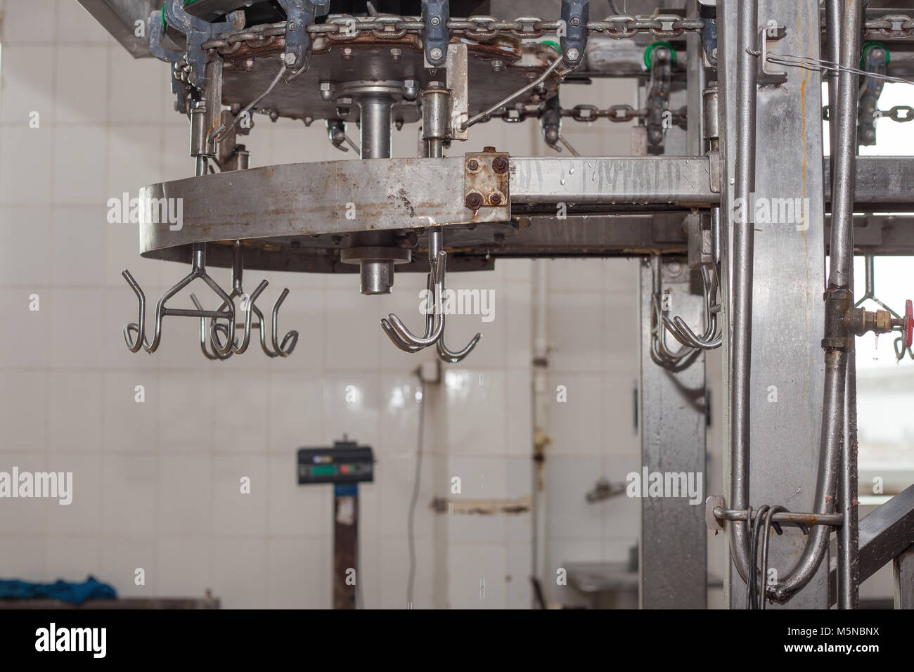 Meat processing of chicken products. Technological process Stock Photo ...