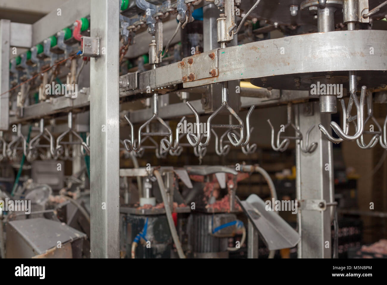 Meat processing of chicken products. Technological process Stock Photo ...