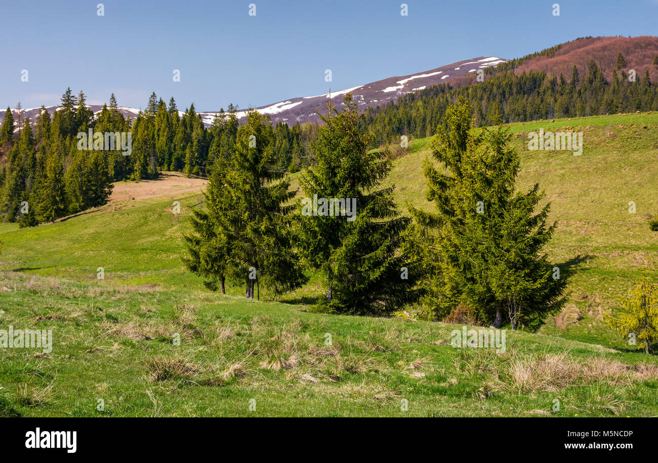 Alp region hi-res stock photography and images - Alamy
