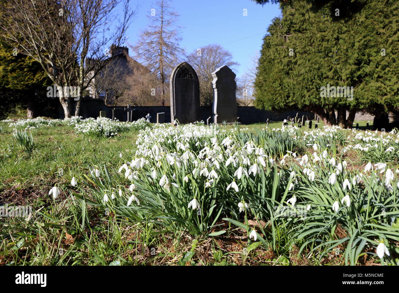Graveyard with flowers hi-res stock photography and images - Alamy