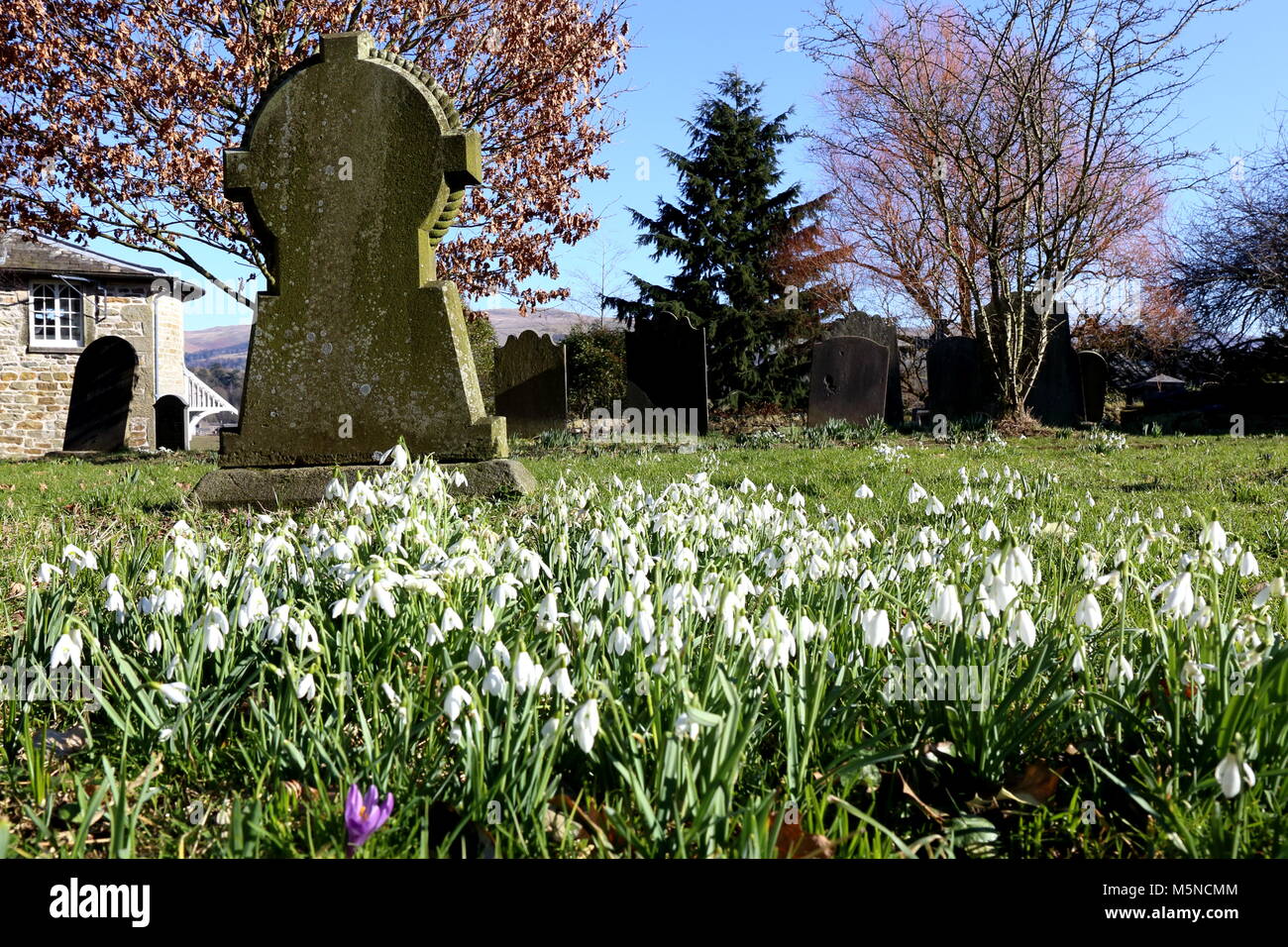 Graveyard with flowers hi-res stock photography and images - Alamy