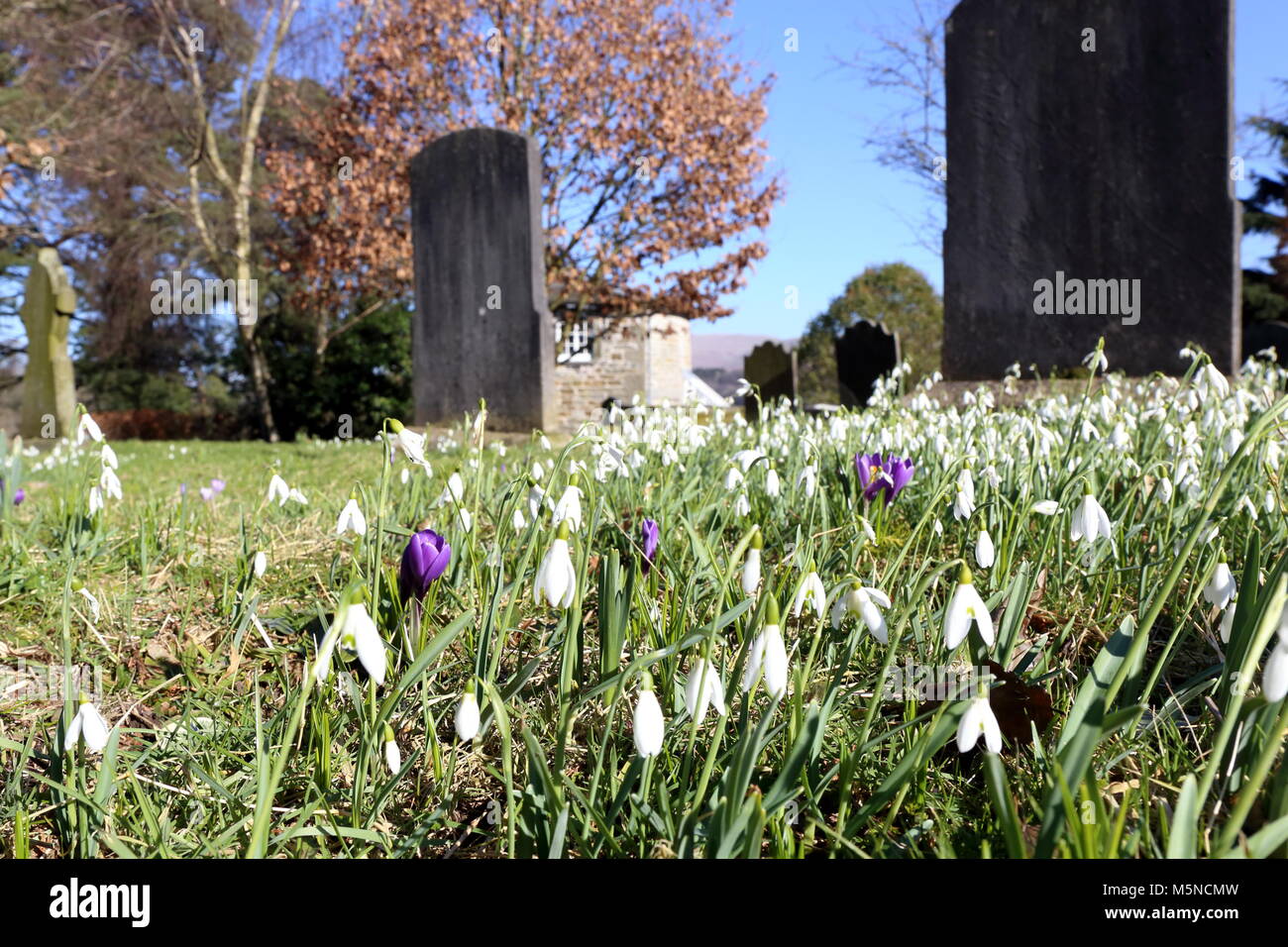 Graveyard with flowers hi-res stock photography and images - Alamy