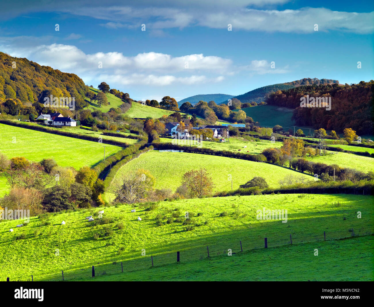 Herefordshire farm land hi-res stock photography and images - Alamy