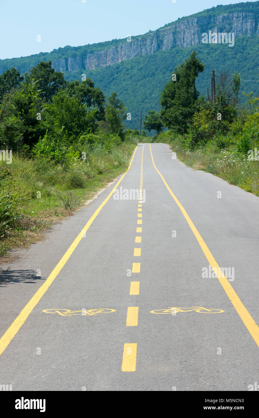 Bicycle and walking lane in forest Stock Photo - Alamy