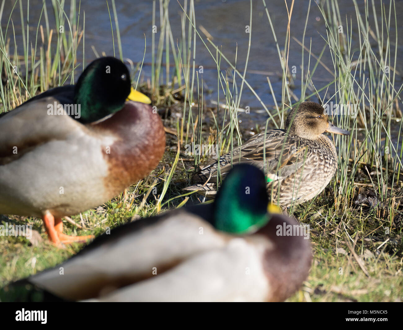 Twos a crowd hi-res stock photography and images - Alamy