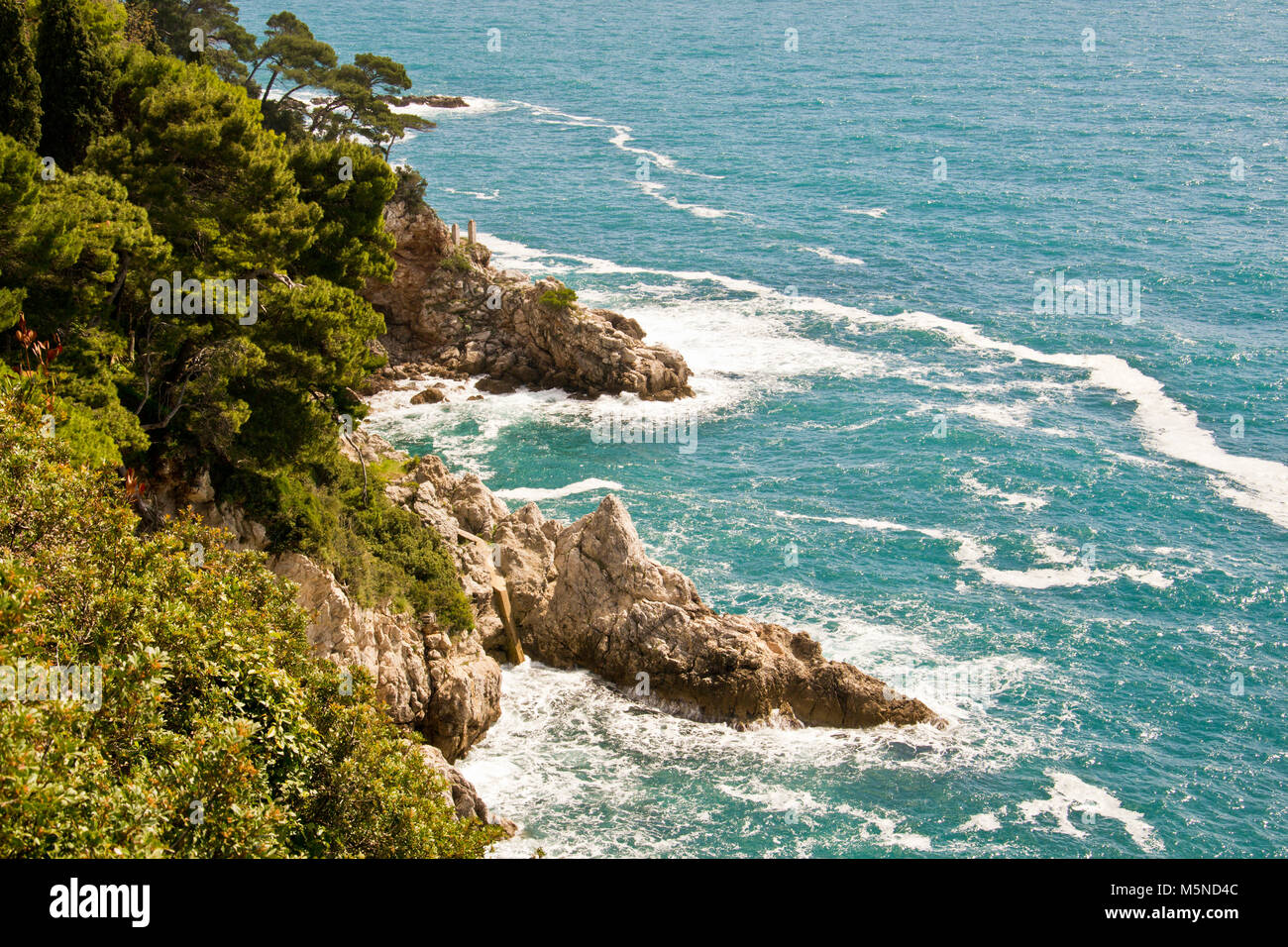 Seashore of Dubrovnik, Croatia with cliff and local vegetation Stock ...