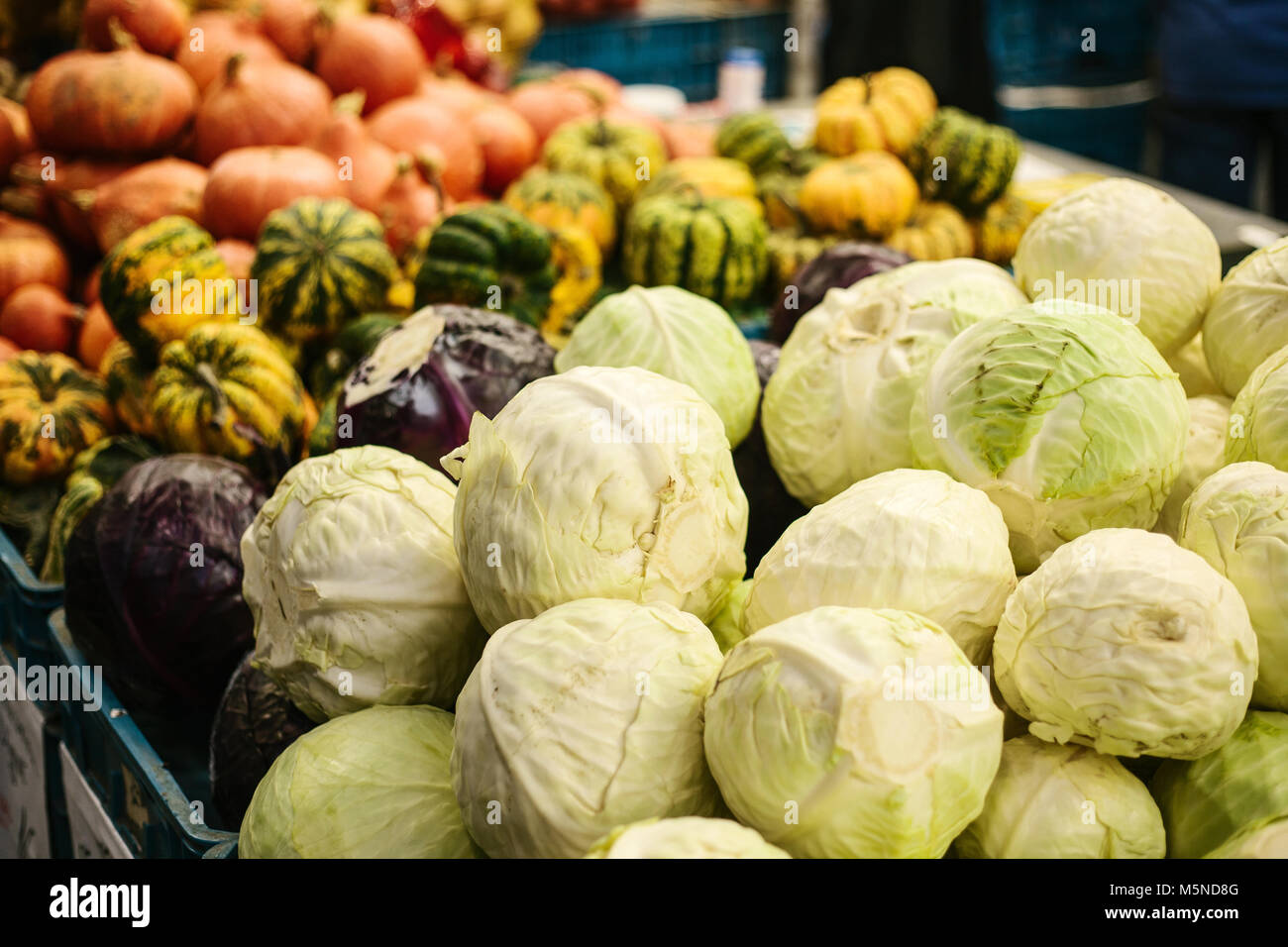 Fresh cabbage market stall pile hi-res stock photography and images - Alamy
