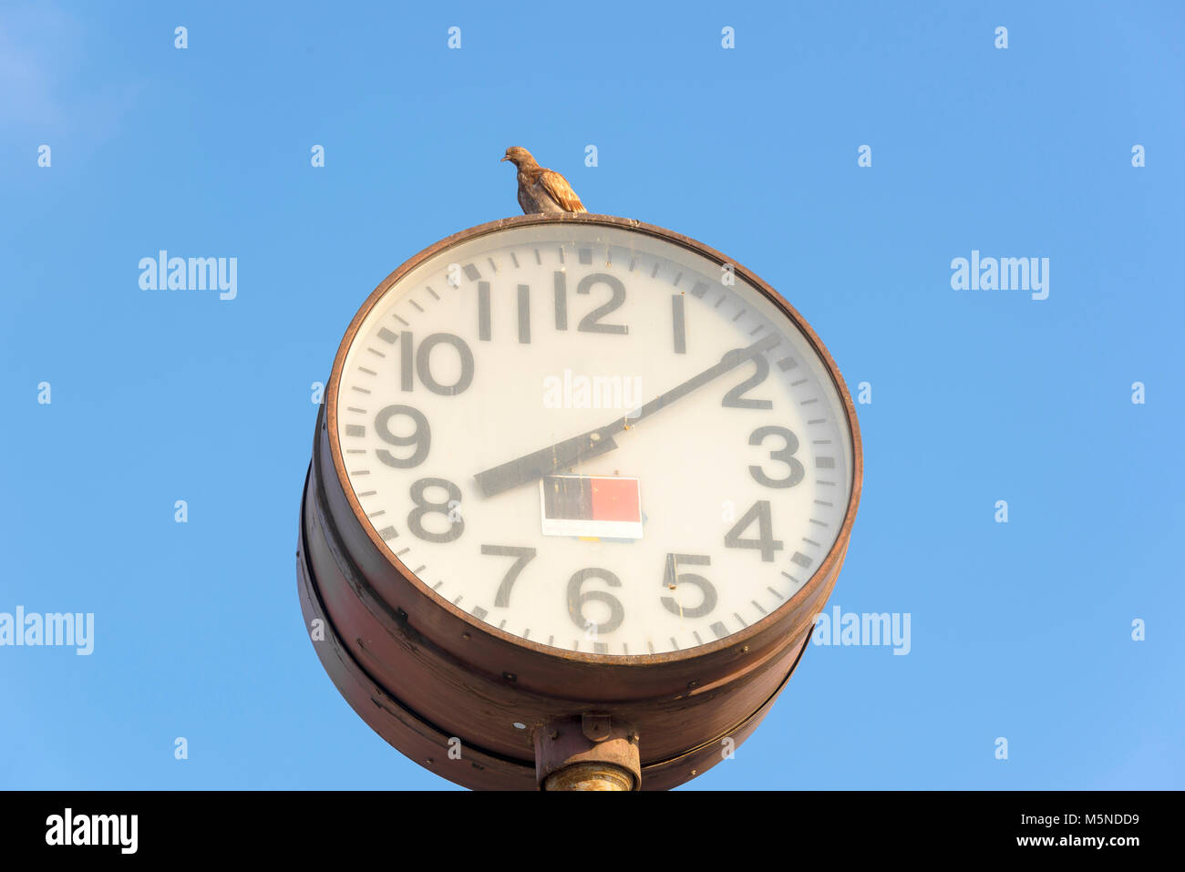 Pigeon on an old rusty clock Stock Photo - Alamy