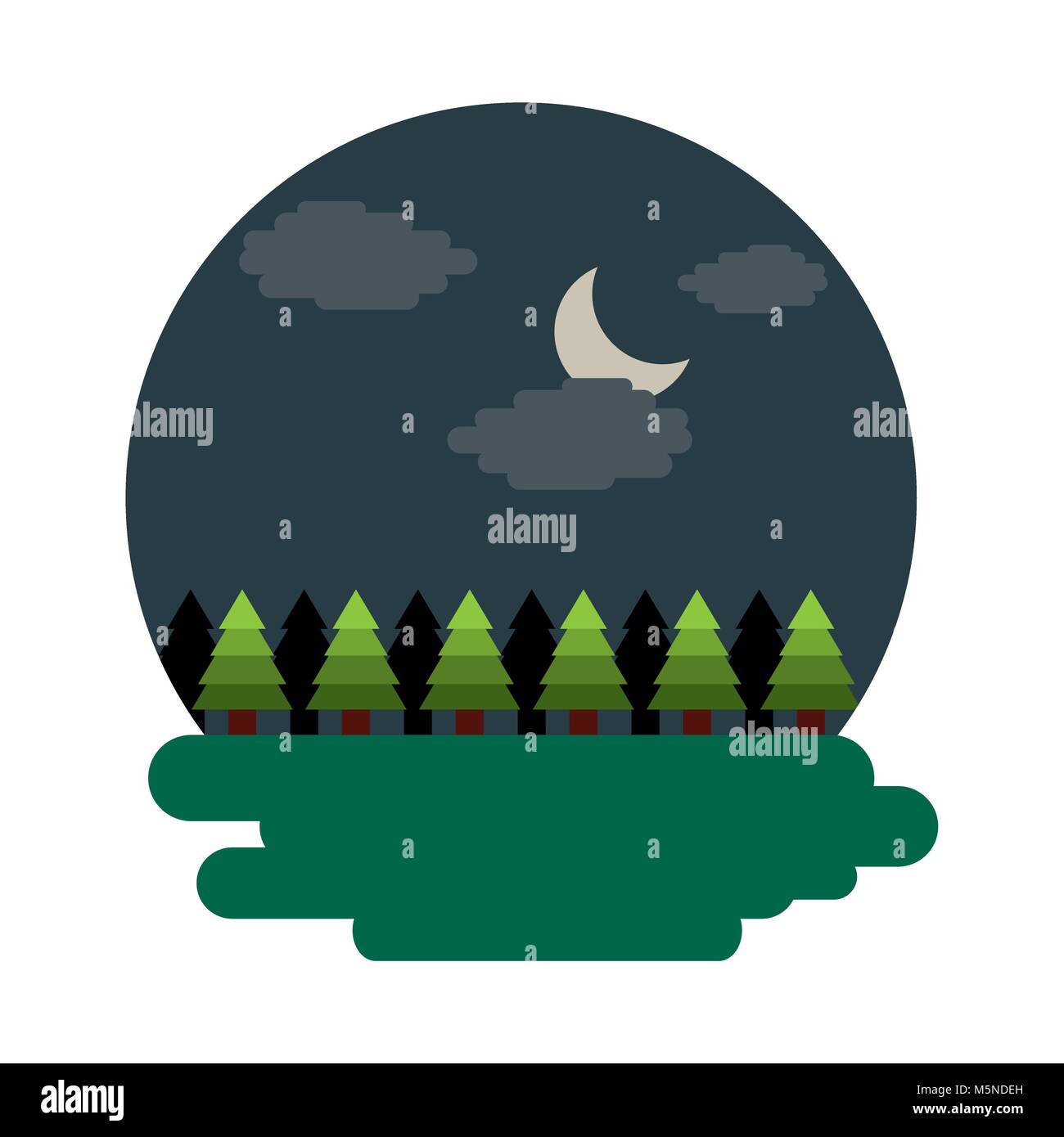 Pine forest scene mist Cut Out Stock Images & Pictures - Alamy