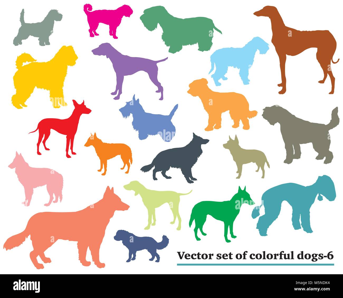 Vector set of colorful isolated different breeds dogs silhouettes on ...