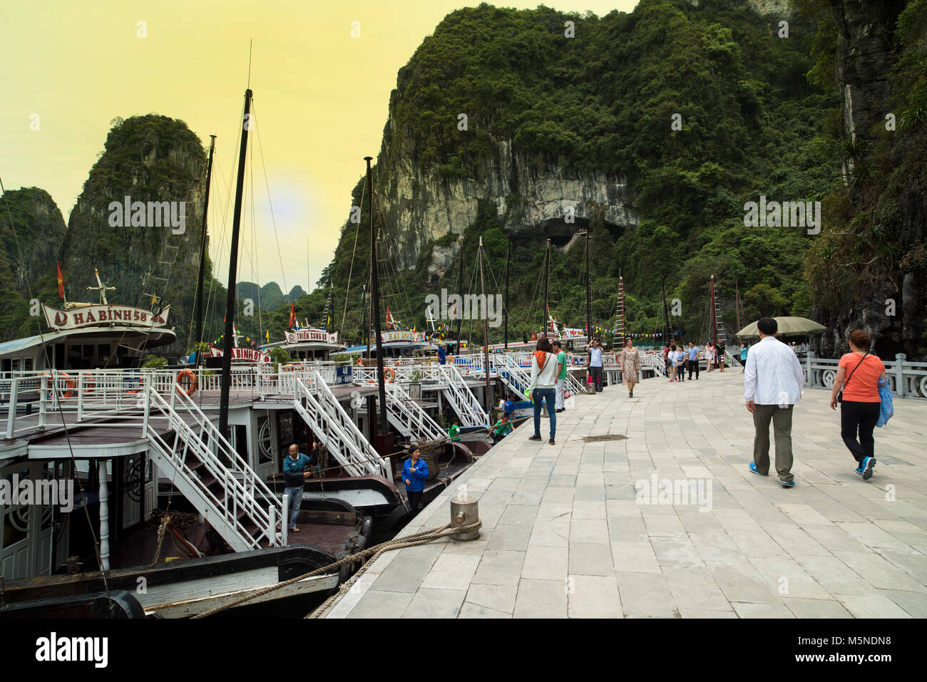 Vietnam travel ha long bay hi-res stock photography and images - Alamy