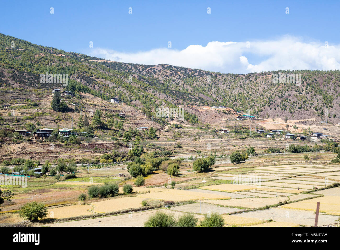 Thimphu, Bhutan. Countryside between Thimphu and Paro Stock Photo - Alamy