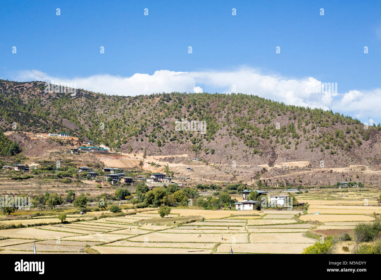Paro village hi-res stock photography and images - Alamy