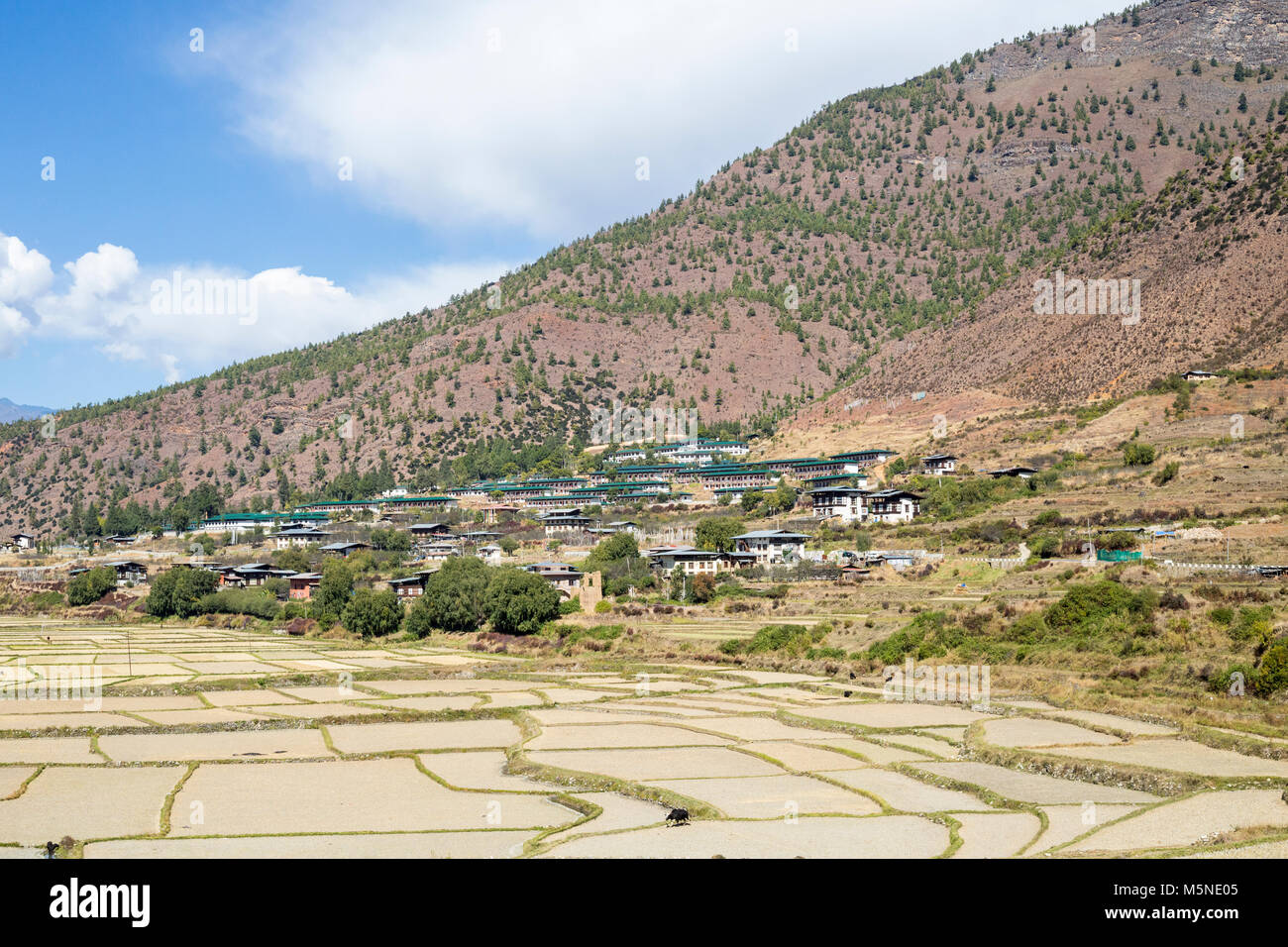 Paro village hi-res stock photography and images - Alamy