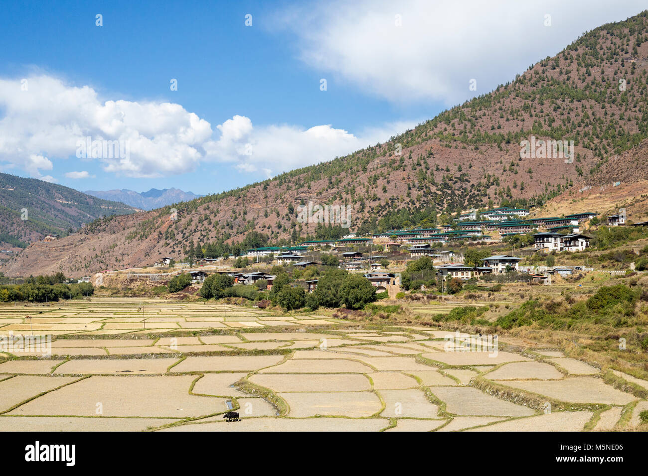 Paro village hi-res stock photography and images - Alamy