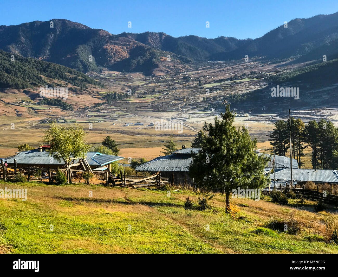 Phobjikha, Bhutan. Farmland in the Valley Stock Photo - Alamy