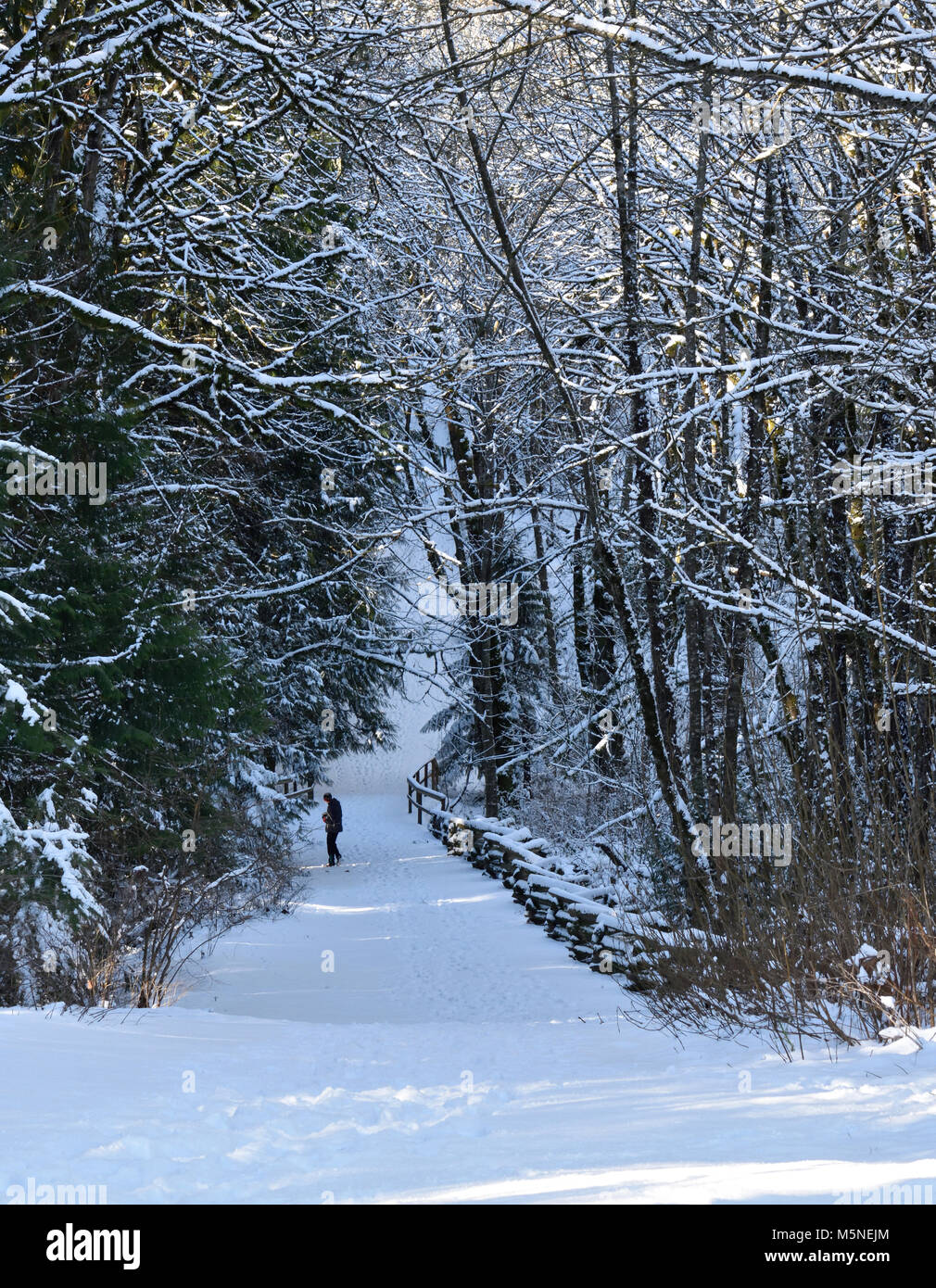 Winter snow brentwood hi-res stock photography and images - Alamy