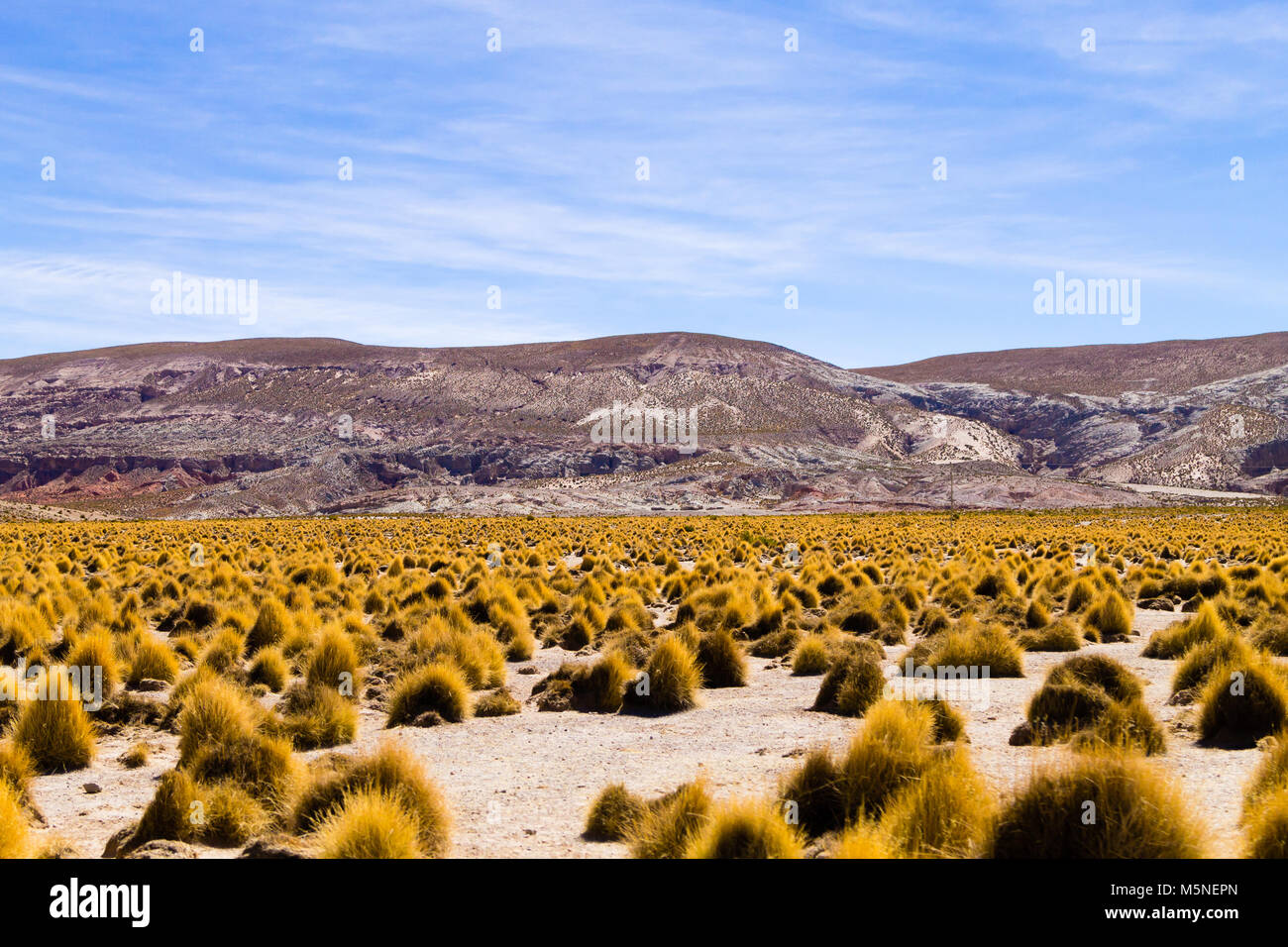 Bolivian mountains landscape,Bolivia.Andean plateau view Stock Photo ...