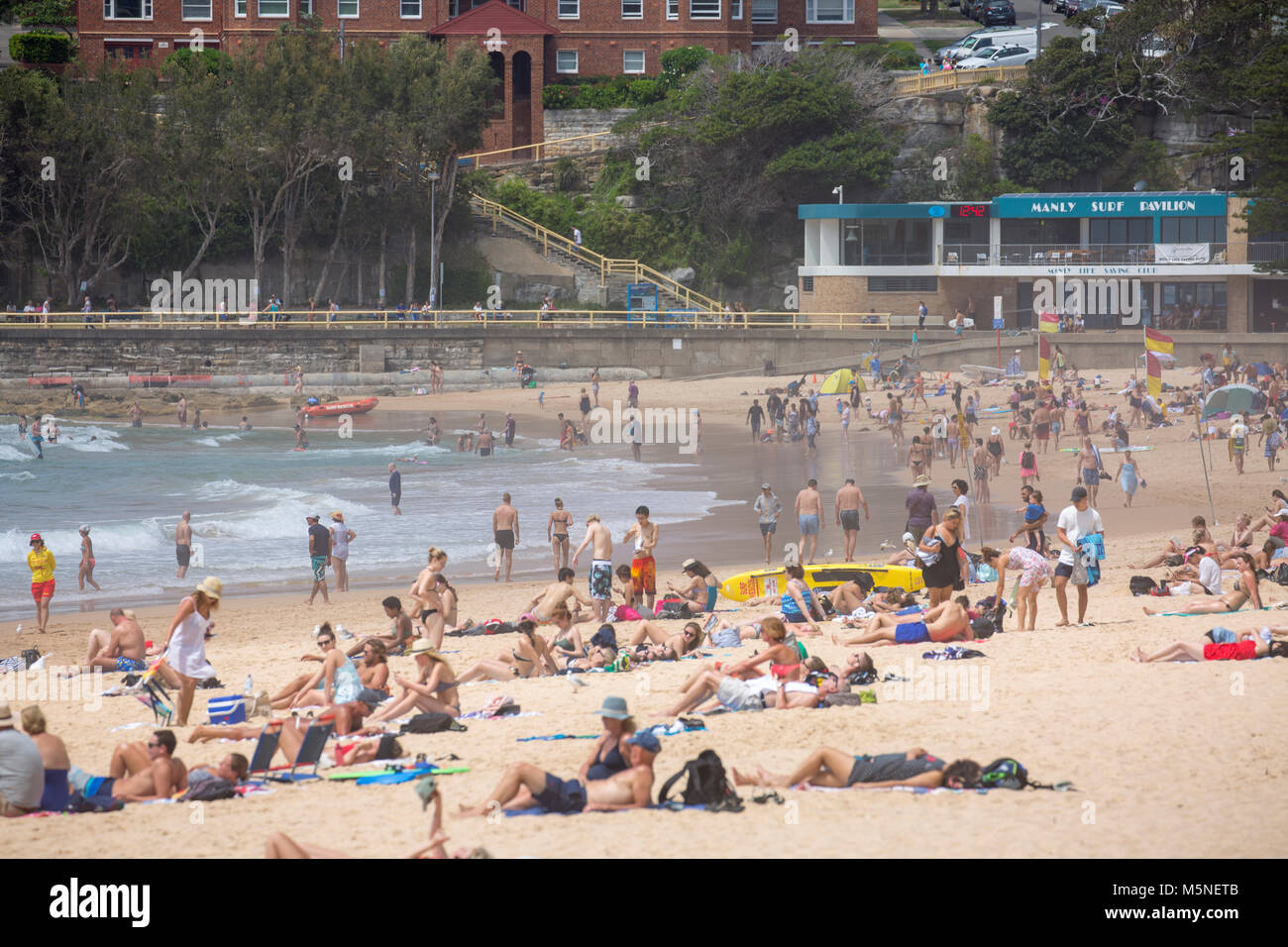 Manly beach surf club hi-res stock photography and images - Alamy