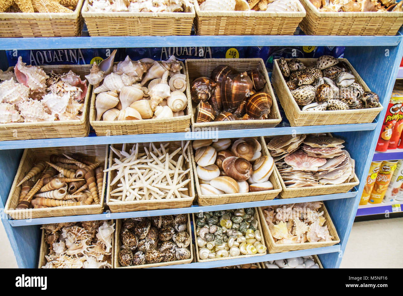 Seashell Shop Stock Photos & Seashell Shop Stock Images - Alamy