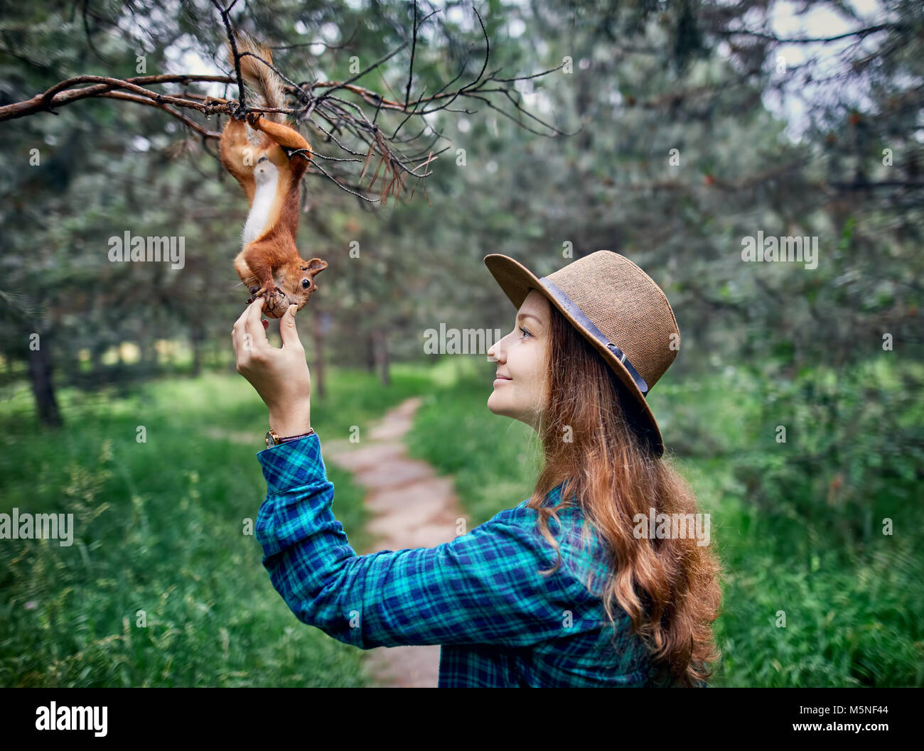Young woman in hat with long hair feeding funny squirrel in pine forest ...